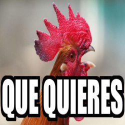 Meme Personalizado - Que quieres - 32432831