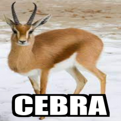 Meme Personalizado - cebra - 32433036