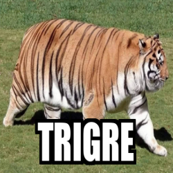 Meme Personalizado - Trigre - 32446163