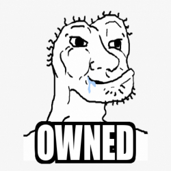 Meme Personalizado - OWNED - 32447416