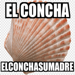 Meme Personalizado - EL concha elconchasumadre - 32448138