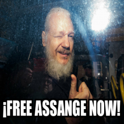 Meme Personalizado - ¡Free assange now! - 32454109