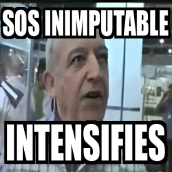 Meme Personalizado - Sos inimputable INTENSIFIES - 32460622