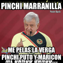 Meme Personalizado - Pinchi marranilla Me pelas la verga pinchi puto y ...