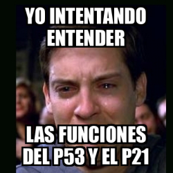 Meme crying peter parker - yO INTENTANDO ENTENDER LAS FUNCIONES DEL P53 ...