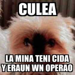 Meme Personalizado - culea la mina teni cida y eraun wn operao - 32466524