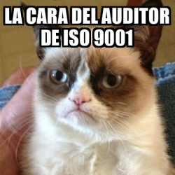 Meme Grumpy Cat - La cara del auditor de iso 9001 - 32467911