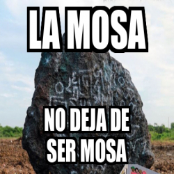 Meme Personalizado - La mosa No deja de ser mosa - 32468660