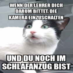 Meme Personalizado - Wenn der Lehrer dich darum bittet, die Kamera ...