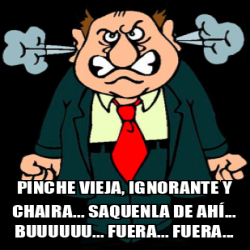 Meme Personalizado - Pinche vieja, ignorante y chaira... saquenla de ...