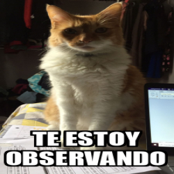 Meme Personalizado - Te estoy observando - 32478297