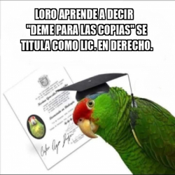 meme-personalizado-loro-aprende-a-decir-deme-para-las-copias-se