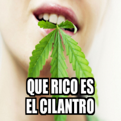 Meme Personalizado - que rico es el cilantro - 32483076