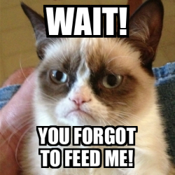 Meme Grumpy Cat - wait! you forgot to feed me! - 32485574