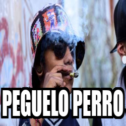 Meme Personalizado - Peguelo Perro - 32485983