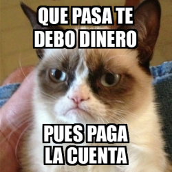 Meme Grumpy Cat - que pasa te debo dinero pues paga la cuenta - 32487807