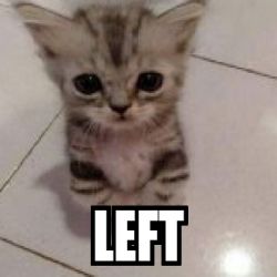 Meme Personalizado - LEFT - 32497979