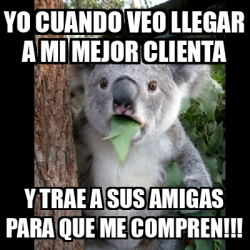 Meme Koala - YO CUANDO VEO LLEGAR A MI MEJOR CLIENTA Y TRAE A SUS ...