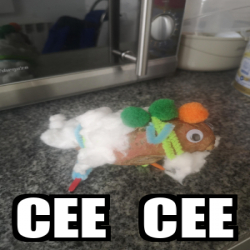 Meme Personalizado - CEE CEE - 32050604