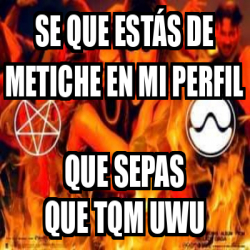 Meme Personalizado - Se que estás de metiche en mi perfil Que sepas que ...