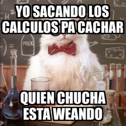 Meme Chemistry Cat - yo sacando los calculos pa cachar quien chucha ...