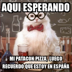 Meme Chemistry Cat - aqui esperando mi patacon pizza, luego recuerdo ...