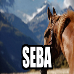 Meme Personalizado - SEBA - 32505176