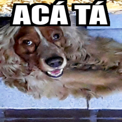 Meme Personalizado - Acá tá - 32508055