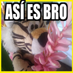 Meme Personalizado - Así es bro - 32515170