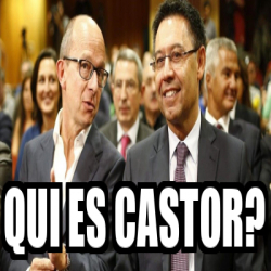 Meme Personalizado - qui es castor? - 32516498
