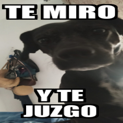 Meme Personalizado - Te miro Y te juzgo - 32523154