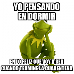 Meme Kermit the frog - yo pensando en dormir en lo feliz que voy a ser ...