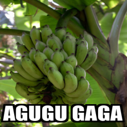 Meme Personalizado - agugu gaga - 32531857