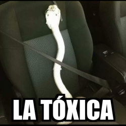 Meme Personalizado - La tóxica - 32538257