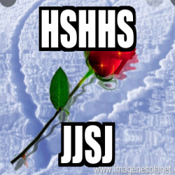Meme Personalizado - Hshhs Jjsj - 32539958