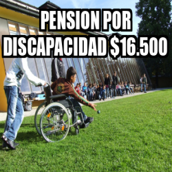 Meme Personalizado - PENSION POR DISCAPACIDAD $16.500 - 32540160