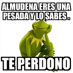 Meme Kermit the frog - Almudena eres una pesada y lo sabes . Te perdono ...