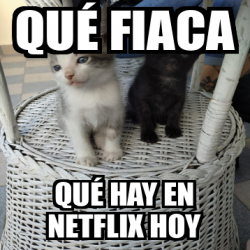 Meme Personalizado - Qué fiaca Qué hay en Netflix hoy - 32540560