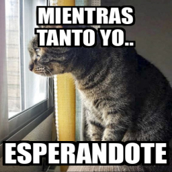 Meme Personalizado - Mientras tanto yo.. Esperandote - 32554746