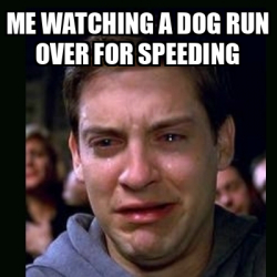 Meme crying peter parker - me watching a dog run over for speeding ...