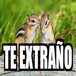 Meme Personalizado - Te extraño - 32564450