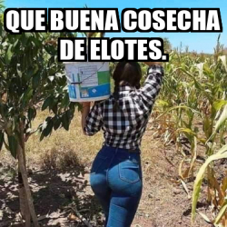 Meme Personalizado - Que buena cosecha de elotes. - 32062744