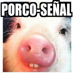 Meme Personalizado - Porco-Señal - 32064516
