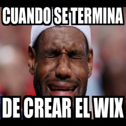Meme Personalizado - cUANDO SE TERMINA DE CREAR EL WIX - 32071405