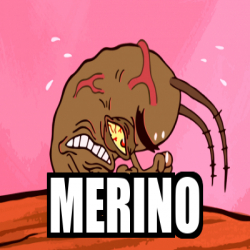 Meme Personalizado - MERINO - 32074484