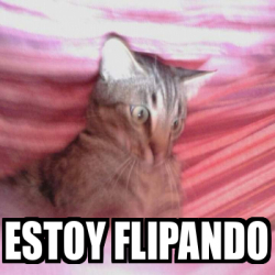 Meme Personalizado - Estoy flipando - 32075314