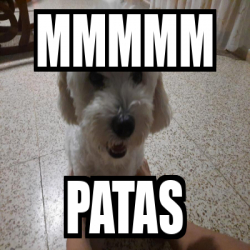 Meme Personalizado - MMMMM PATAS - 32087575