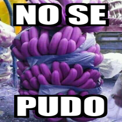 Meme Personalizado - no se pudo - 32089740