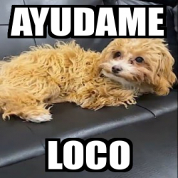 Meme Personalizado - Ayudame Loco - 33101397