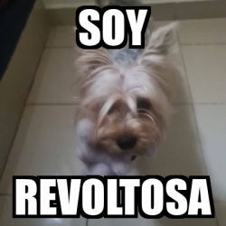 Meme Personalizado - Soy Revoltosa - 33103290